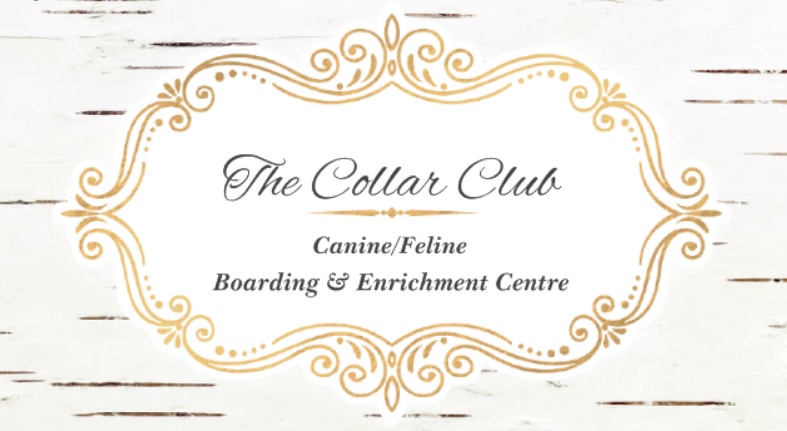 The Collar Club – Boarding & Enrichment Centre